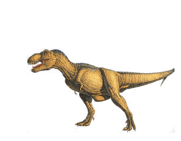 trex.gif gif by aehssirhc | Photobucket